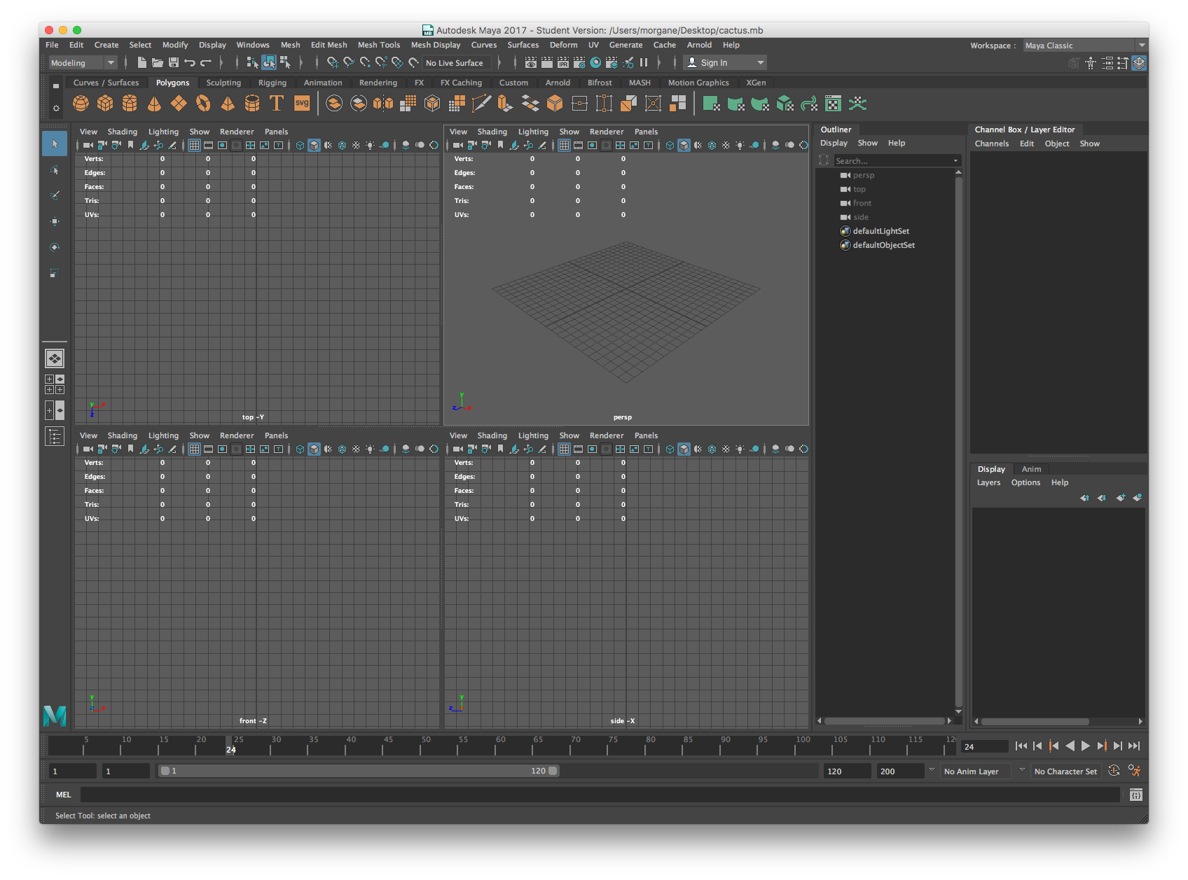 Maya For Beginners Maya For Beginners