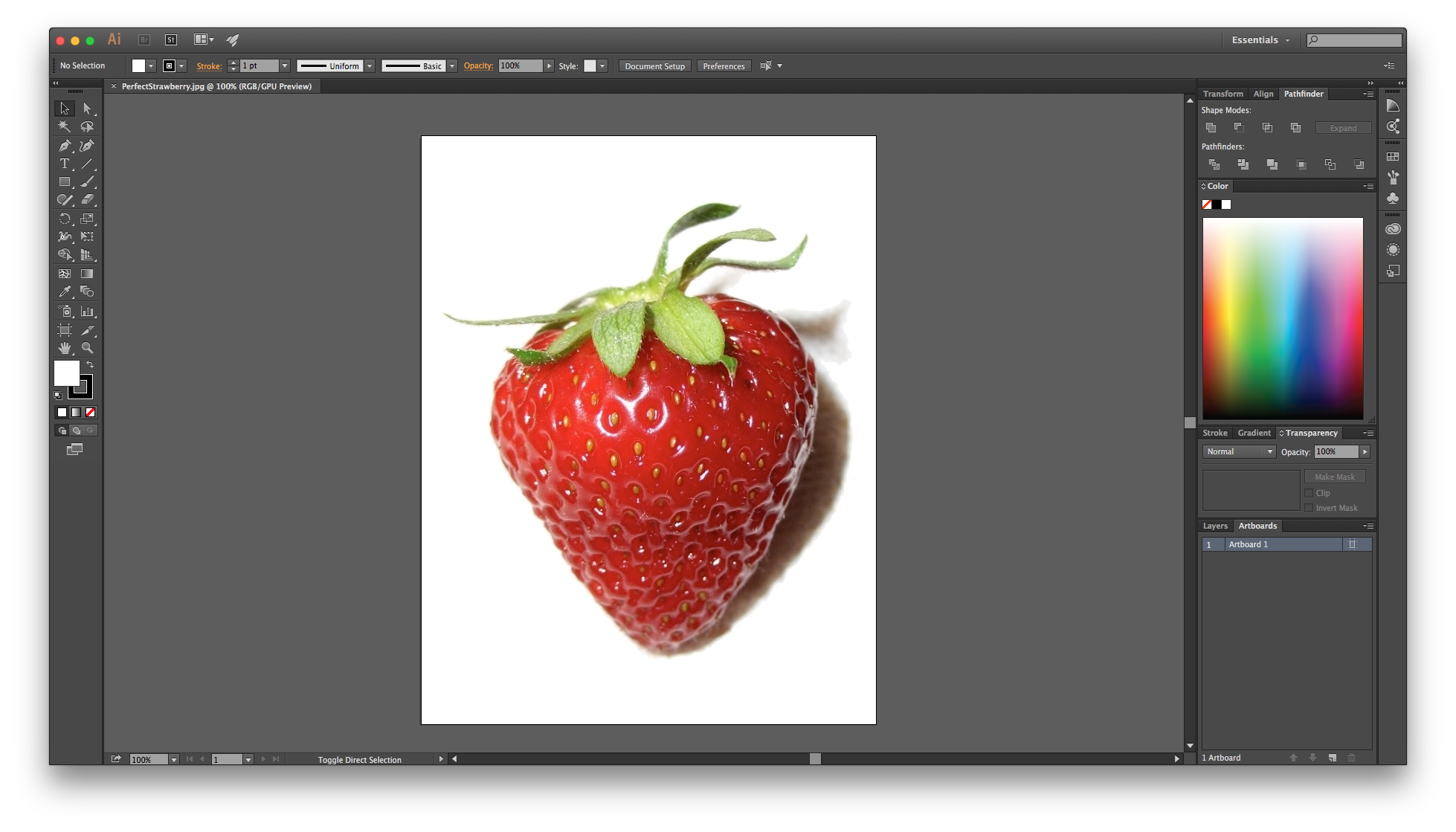Adobe Illustrator Tutorials Beginner Examples And Forms